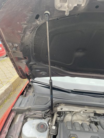 Golf 8 Rline Mercan Kırmızı